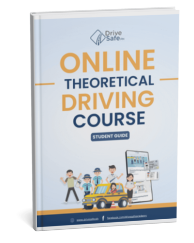 What We Offer - DriveSafe